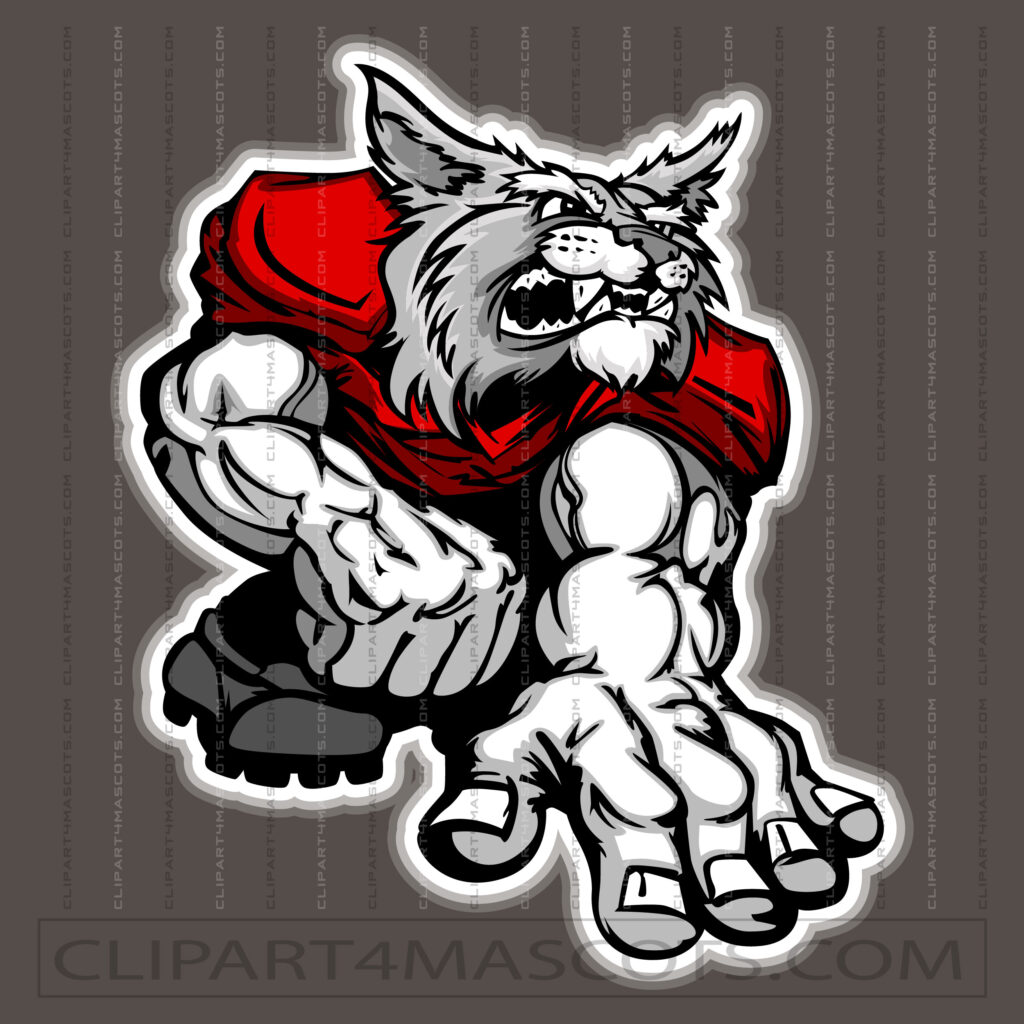 Wildcats Football Art | Vector Format | AI EPS PNG JPG